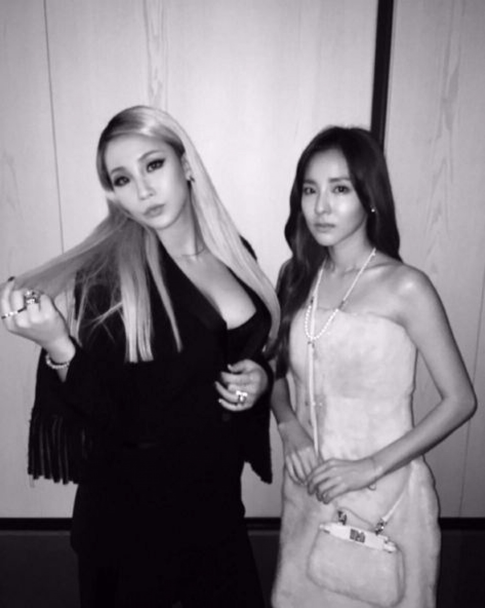 DARA、CLとの2ショット公開…久しぶりに揃った2NE1 | 韓流ニュース | 韓流大好き!